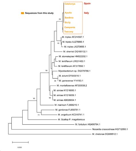 Neighbor Joining Tree Of The Its Rdna Sequences The Analysis