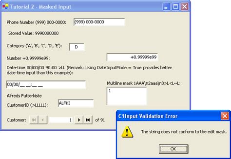 Componentone Input For Winforms（英語版）