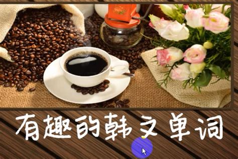 韩语零基础入门学习之附和句型