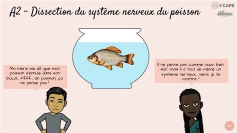 A2 Dissection Du Système Nerveux Du Poisson Genially