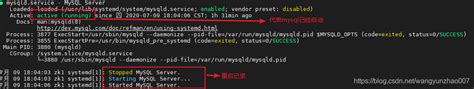 【mysql】mysql的数据库主从2双主双从主从库可以是不同类型的数据库吗 Csdn博客 【mysql】mysql的数据库主从2双主双从主从库可以是不同类型的数据库吗 Csdn博客