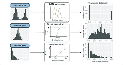 Normalization Methods For Expression Data Of Genes Of All Three Download Scientific Diagram