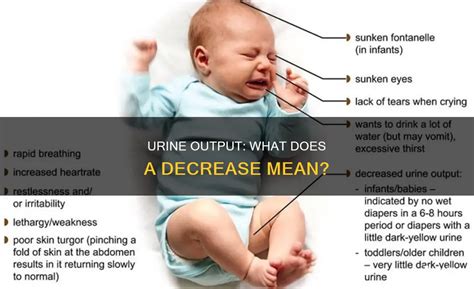 Urine Output What Does A Decrease Mean Medshun