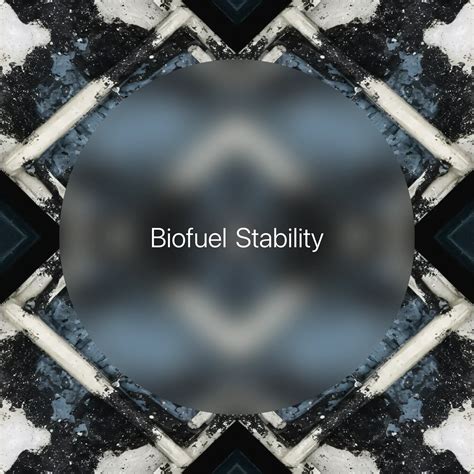 Political Stability Definition → Term