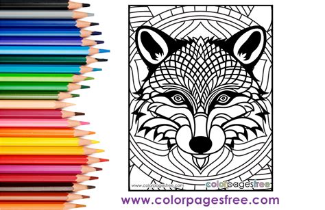 Fox Mandala Coloring Pages 2025