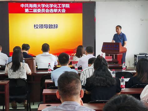 中共海南大学化学化工学院第二届委员会换届选举大会顺利召开 化学化工学院