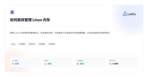 如何高效管理 Linux 内存 Labex