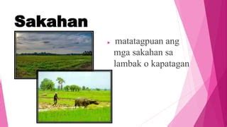 Ang Aking Komunidad Pptx
