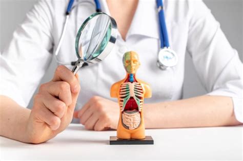 Preoperative Intraoperative And Postoperative Care Mpp Academy Mpp Academy