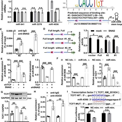 High Expression Of Tcf7 In Hlf Tissues And Cells A The Hlf Was