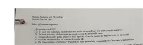 Solved Human Anatomy And PhysiologyNeuron Practice Chegg