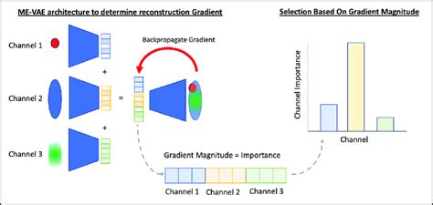 A Multi Encoder Variational Autoencoder Architecture Is Implemented