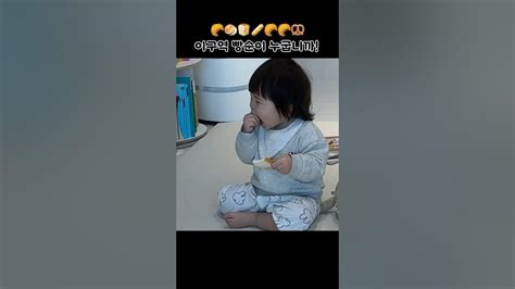 이구역 빵순이 지켜 🥐🥯🥖🍞 육아 Vlog Youtube