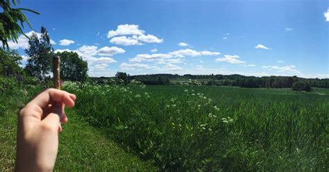 Tw Pornstars Wendy Fors Pictures And Videos From Twitter Page 13