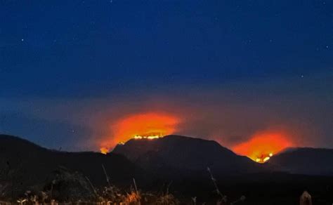 Incendio En Sierra De Elota Consumió 100 Hectáreas Del Área Natural