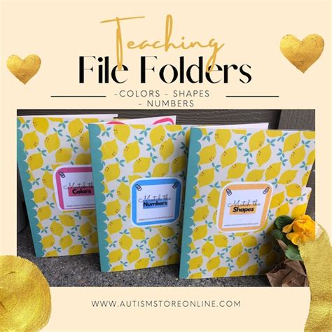 File Folder Games Etsy