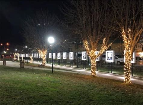 დიდი დიღომი Didi Dighomi მთავარი ჯგუფი