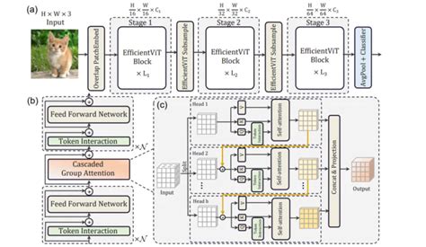 Efficientvit Memory Efficient Vision Transformer For High Resolution