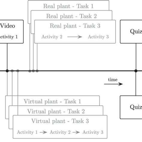 Experiment Timeline Download Scientific Diagram