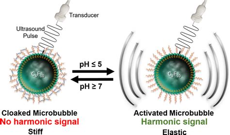 Microbubbles Cloaked With Hydrogels As Activatable Ultrasound Contrast