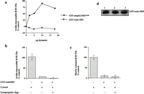 Both Synaptojanin And Dynamin Are Unable To Rescue The Inhibitory Download Scientific Diagram