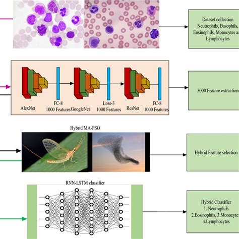 Schematic Diagram Of The Proposed Methodology Download Scientific Diagram