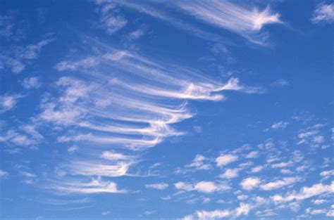 Cirrus Uncinus Clouds Over Norman Oklahoma