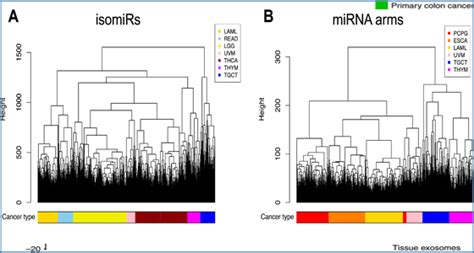 Binarized Analysis Of Isomir Profiles From Rna Seq Data Can Discriminate Among Cancers Rna Seq