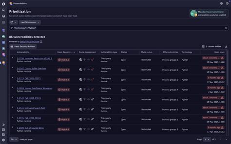 Python Vulnerability Monitoring For Enhanced Customer Security