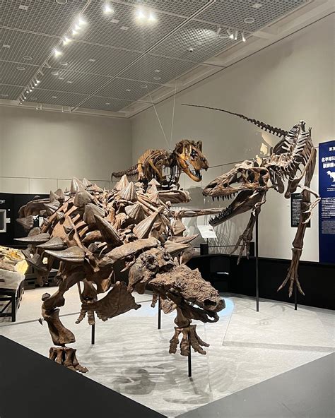 特別展「恐竜博2023」公式 Dinoexpo2023 • Instagram Photos And Videos