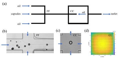 Automated Extensional Flow Chamber For The Characterization Of Download Scientific Diagram