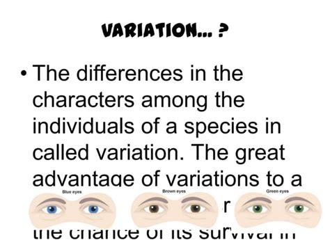 Heredity And Evolution Pptx