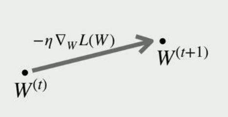 Revert Optimizer Step Autograd PyTorch Forums