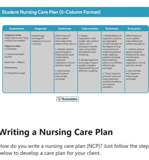 [solved] Provide A 2 Nursing Care Plan About Alzheimers Disease And