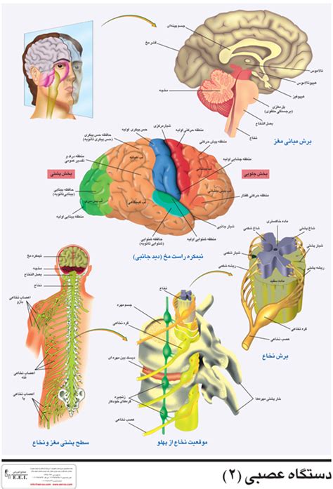 فروشگاه پوستر های آموزشی