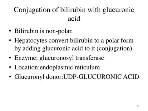 Heme Degradation And Bilirubin Metabolism Ppt Download
