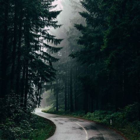 Brainwaves Youtube Brainwaves Youtube