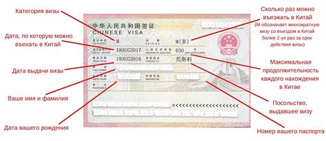 Бизнес виза в Китай сроки стоимость Документ24