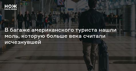 В багаже американского туриста нашли моль которую больше века считали исчезнувшей — Нож