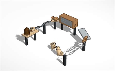 3d Design Squirrel Obstacle Course Tinkercad