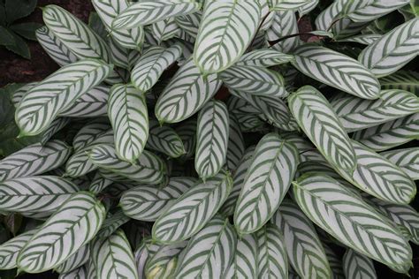 Hacker Picture Photos Download The Best Free Hacker Picture Stock