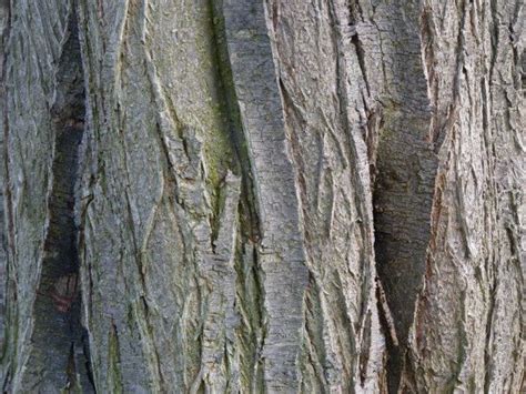 Регулиране на магнетизма и електричеството в човешкия организъм