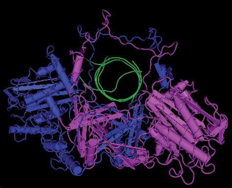 Dna Binding Proteins Overview And Application