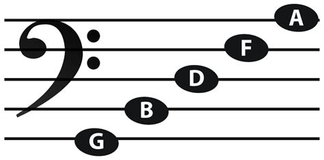 Treble And Bass Clef Staff Music Theory The Staff Treble Clef And