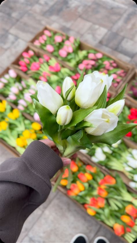 Магазин штучних квітів 🌾🪴 🌴Пальма штучна латексна 🌿 🌱Ціна 240 грн 🌱Довжина 75 см 🌱Має 6