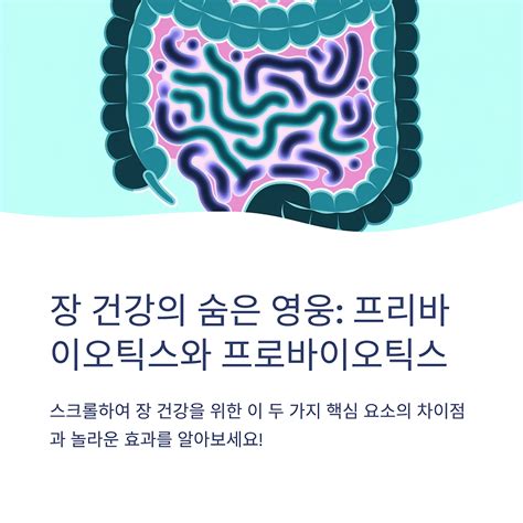 프리바이오틱스와 프로바이오틱스 차이점과 효과