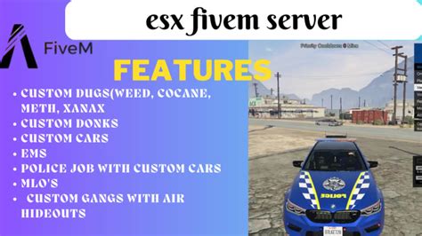 Create Professional Esx Fivem Server With Premium Scripts By Brightxpert24 Fiverr