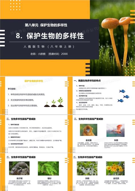 部编版八年级生物上册保护生物的多样性课件PPT模板下载 熊猫办公