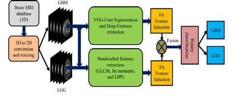 Figure 1 From Convolutional Neural Network Assisted Segmentation And Svm Classification Of Brain