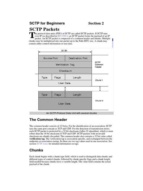 02 Sctp For Beginners Sctp Packetspdf Network Packet Transmission